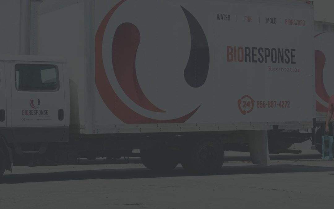 bioresponse_get_help_now - BioResponse Restoration