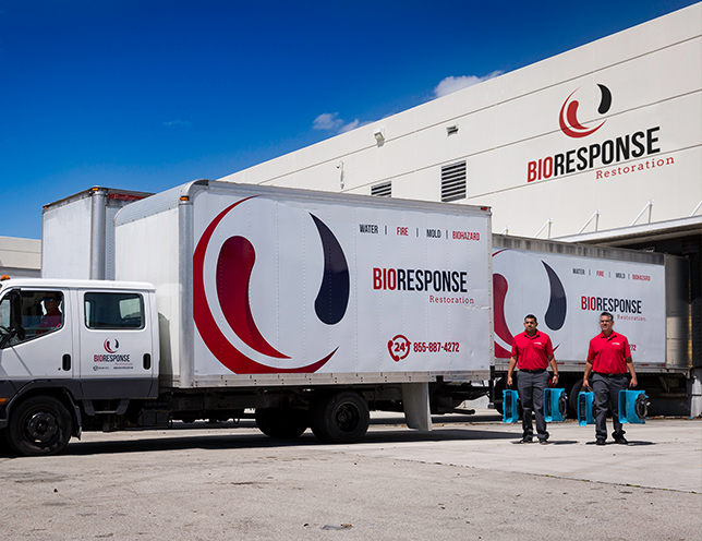 bioresponse_vehicle_fleet_clean_up - BioResponse Restoration