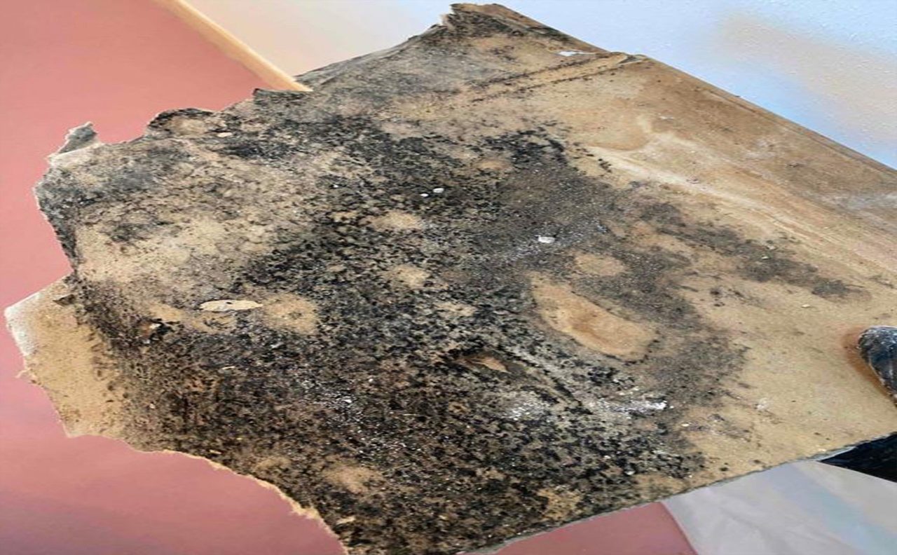 BioResponse Restoration - Water, Mold, Fire, COVID-19, and Biohazard ...